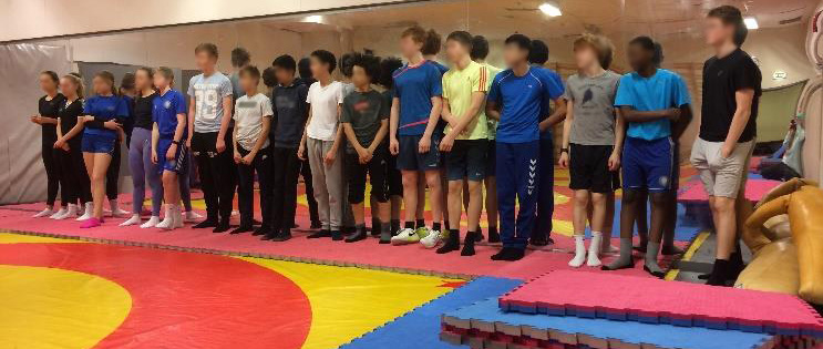 Fysisk aktivitet og helse (FYSAK)